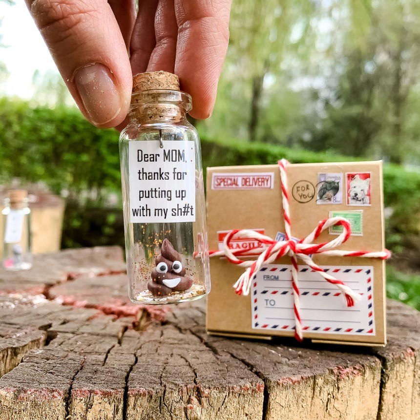 Funny birthday gift for mom Humorous poop gift for mother from daughter ...